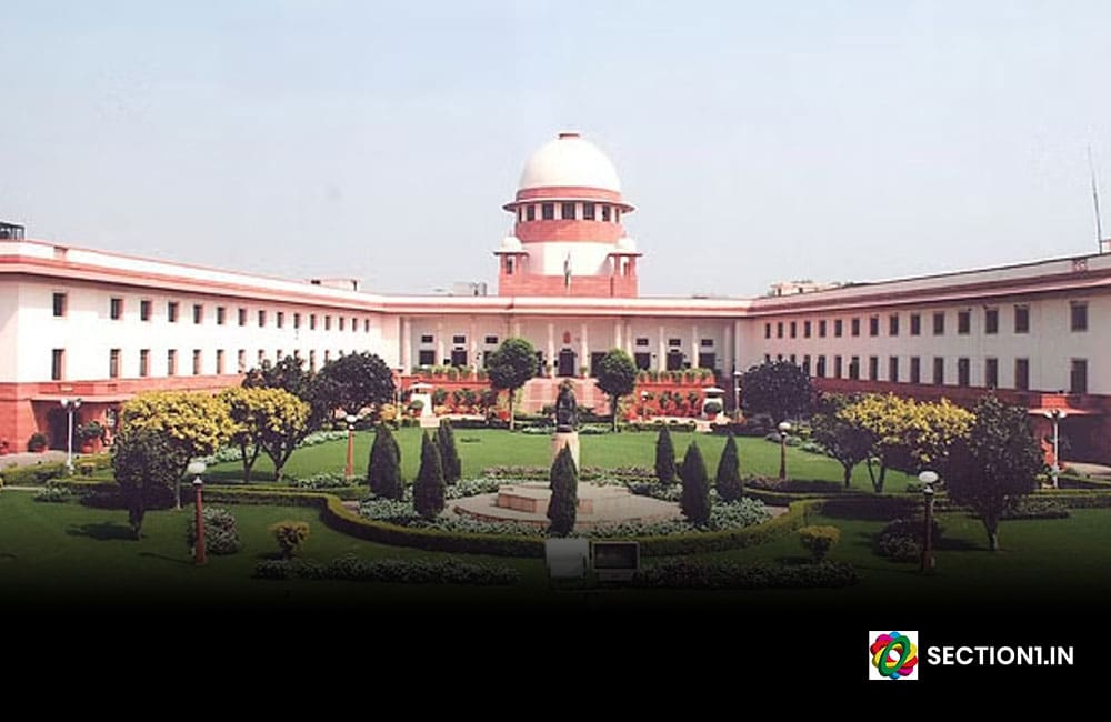 Analyzing the Grounds for Cancelling Bail After Filing a Final Report ...